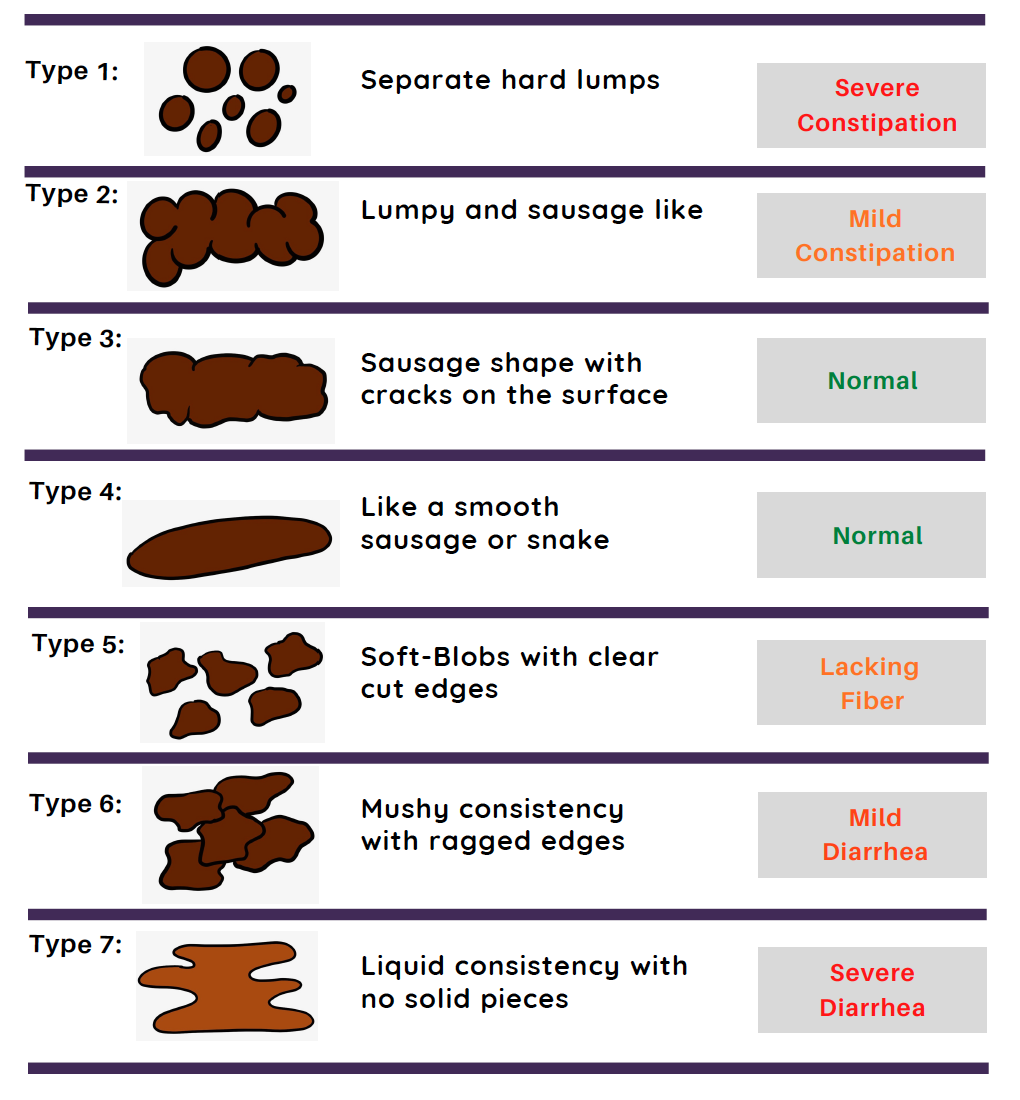 December is Constipation Awareness Month - Pelvic Wellness Physical Therapy